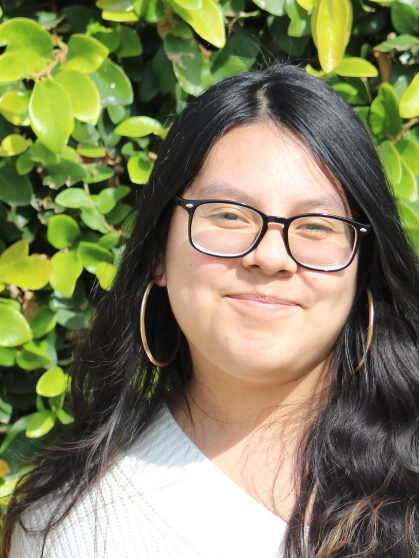 Introducing The Board: A Look into the Bright Minds at The Next Light Foundation – The Next ...